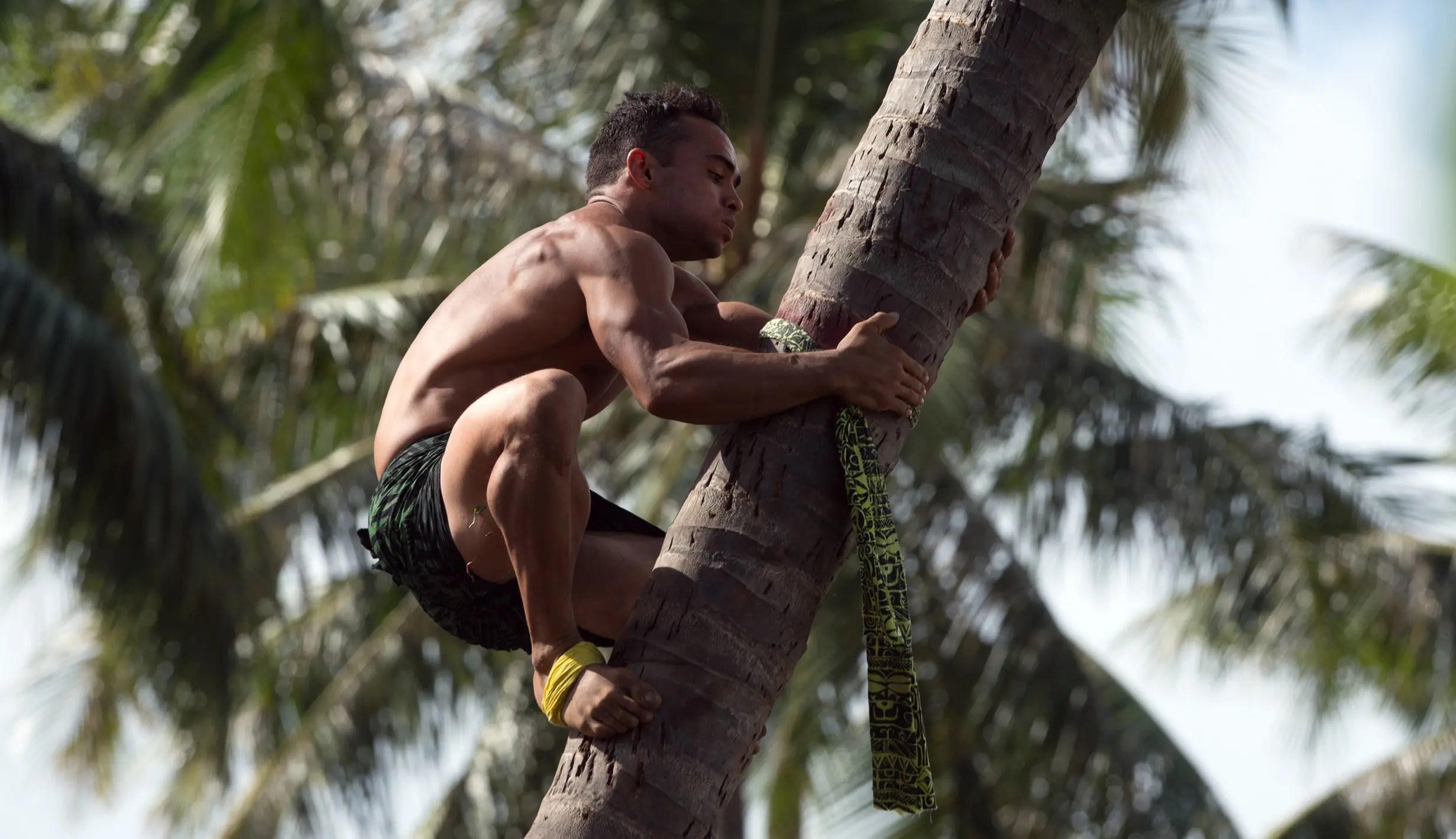 Semangat Para Peserta Ikuti Kompetisi Panjat Pohon Kelapa - Foto ...