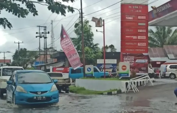 Masih Ingat Film Kartun Hachi? Ini Akhir Kisah Mencari Ibu Lebah yang ...