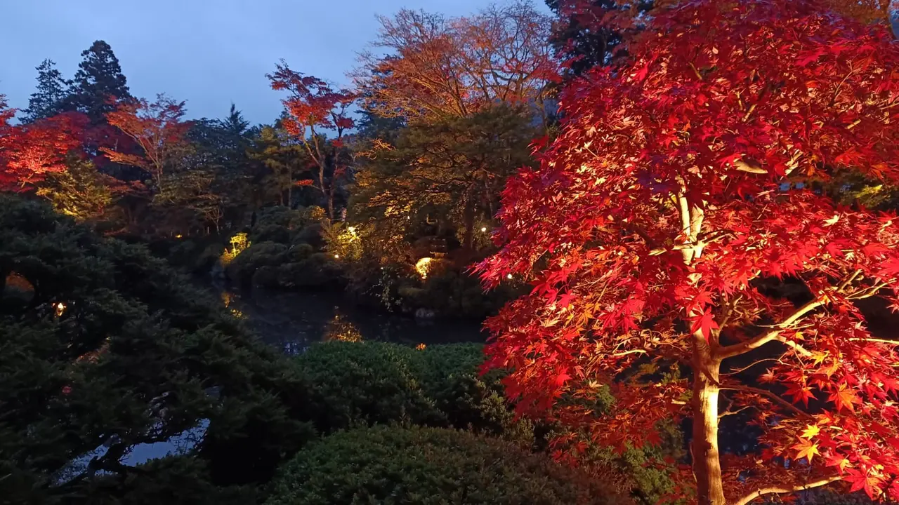 Shinkyo Bridge, Jembatan Dewa yang Keindahannya Termasyur di Seluruh ...