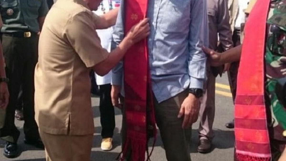 Jurus Kombinasi Jagung dan Sapi ala Sumbawa - Regional Liputan6.com