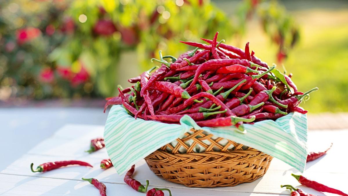5 Jenis Cabai yang Paling Populer di Indonesia - Lifestyle Fimela.com