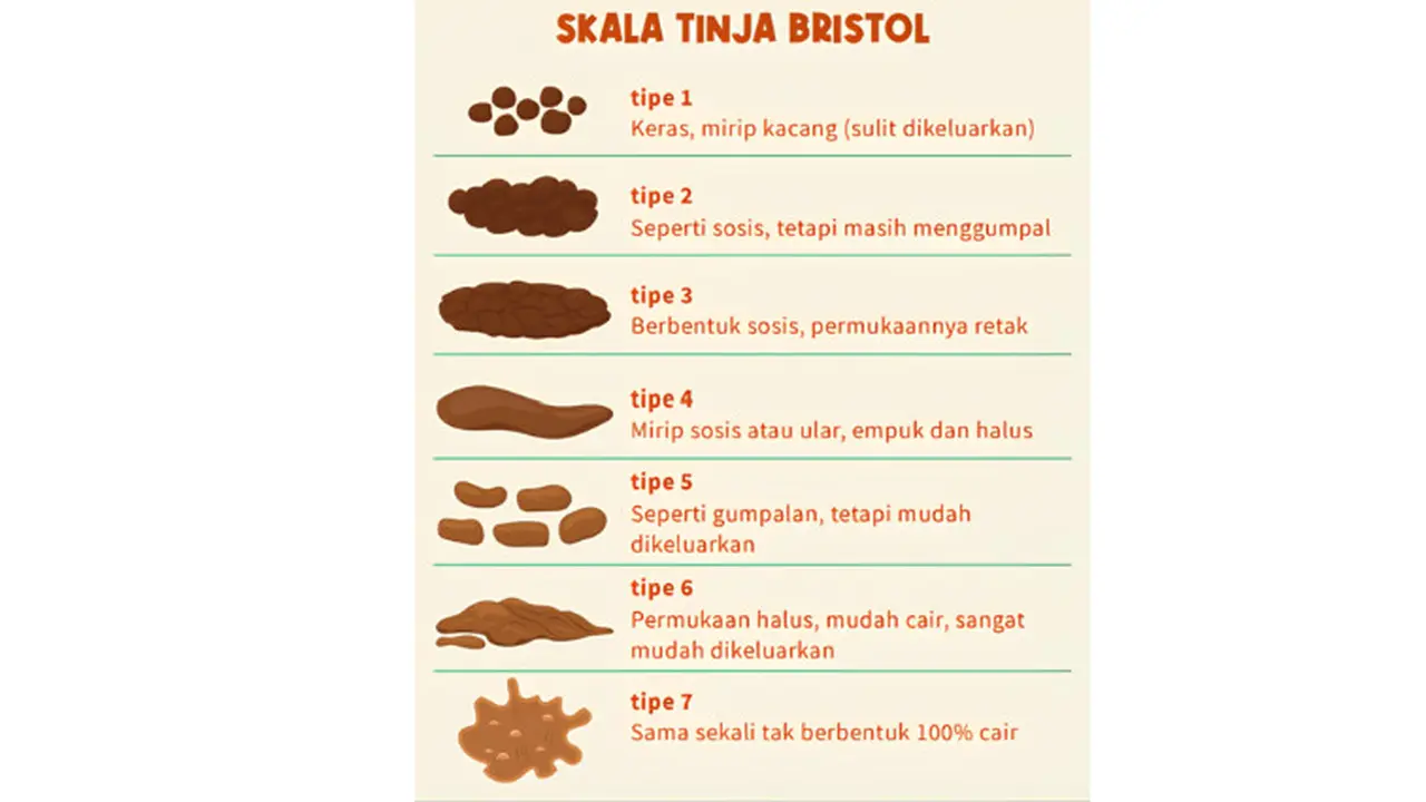Ada 7 Tipe, Kenali Feses yang Normal dan Tidak Berdasarkan ...