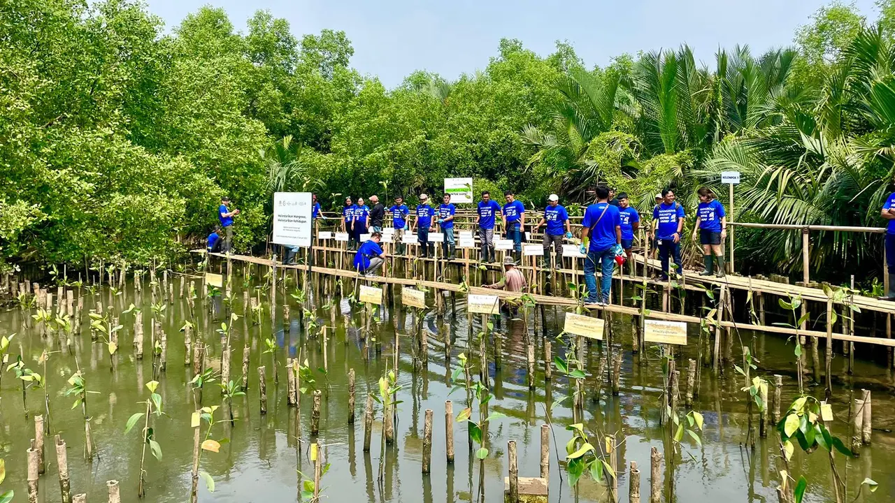 Suaka Margasatwa Muara Angke, Benteng Pertahanan Terakhir Jakarta dari ...