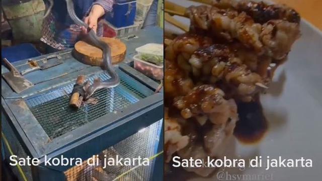 Viral Sate Ular Kobra di Jakarta, Proses Pembuatannya Bikin Bergidik ...