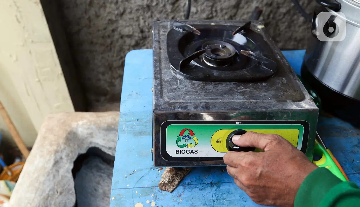 Pemanfaatan Limbah Kotoran Sapi Jadi Biogas Untuk Rumah Tangga dan ...