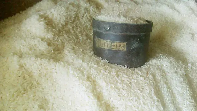 7 Cara Menyimpan Beras Agar Awet dan Bebas Kutu - Hot Liputan6.com