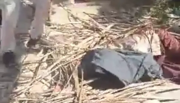 Mengenal Body Dysmorphic Disorder yang Dialami Megan Fox - Regional ...