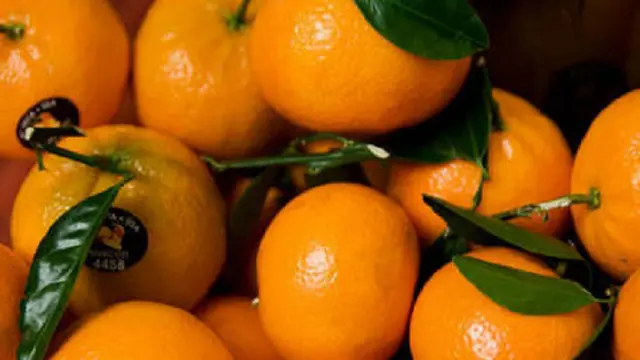 10 Manfaat Jeruk Mandarin, Sehatkan Tulang dan Kulit - Ragam Bola.com
