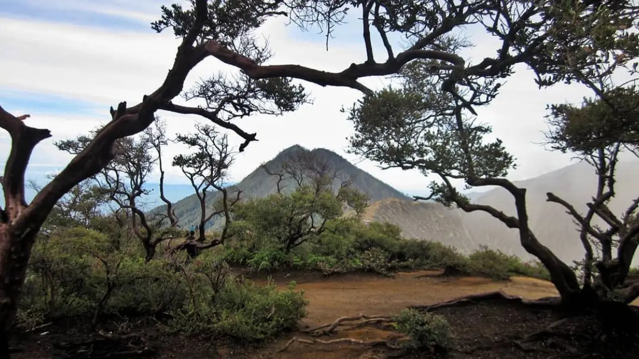 6 Fakta Menarik Gunung Ranti yang Bersebelahan dengan Kawasan Ijen di ...