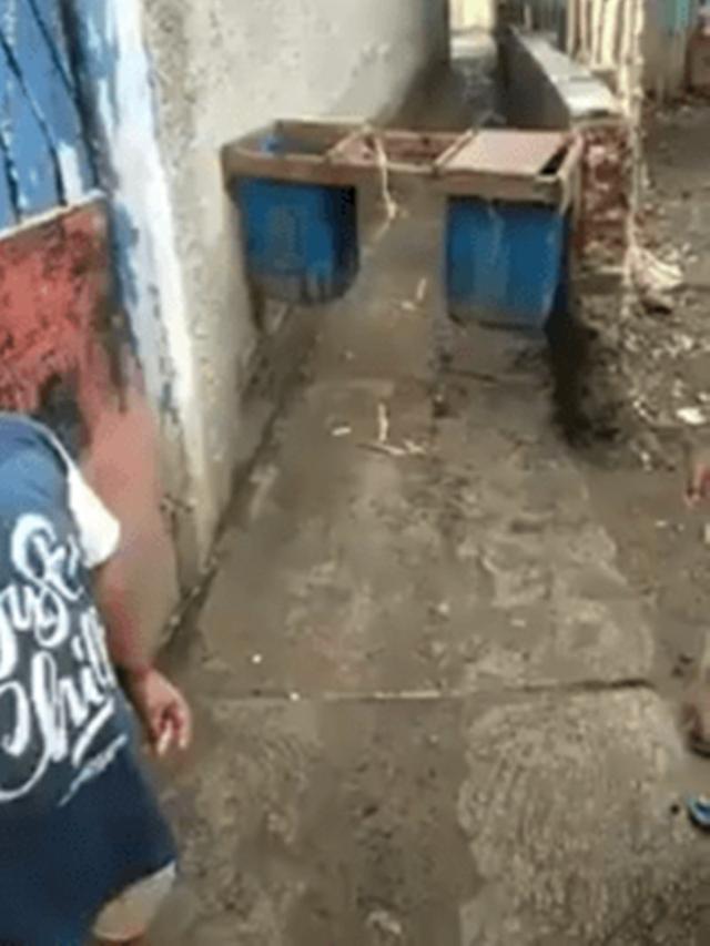 6 Potret Gang Sempit Ini Bikin Pengguna Jalan Geleng Kepala - Hot ...