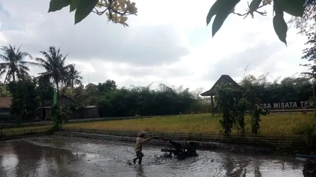 Desa Wisata Tembi Jogja, Intip Paket dan Harganya - Hot Liputan6.com