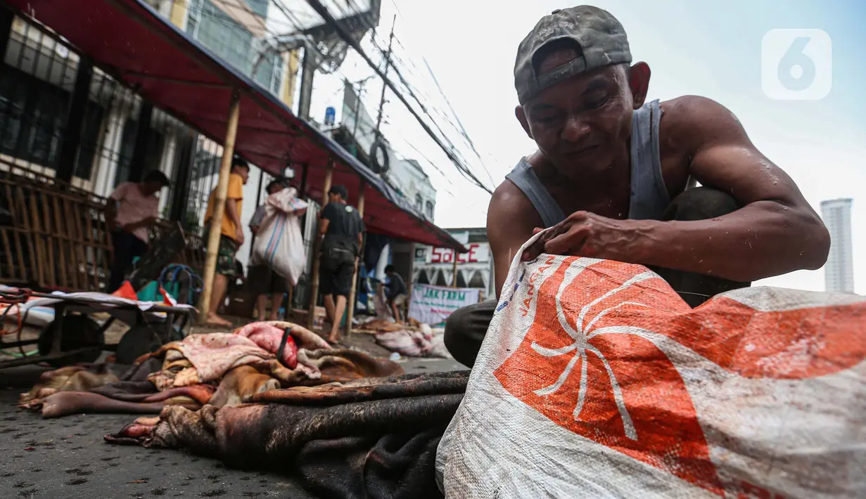 Berkah Kurban bagi Para Pengepul Kulit - Foto Liputan6.com