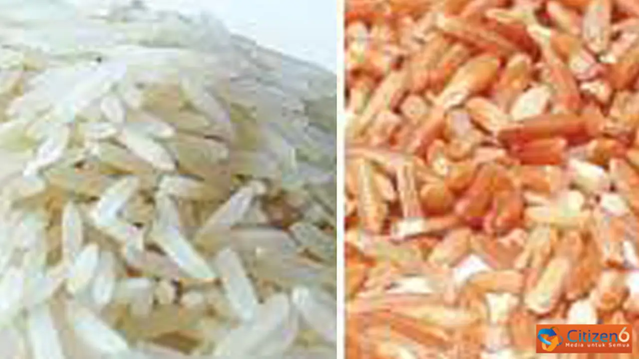 Si Merah versus Si Putih - Citizen6 Liputan6.com