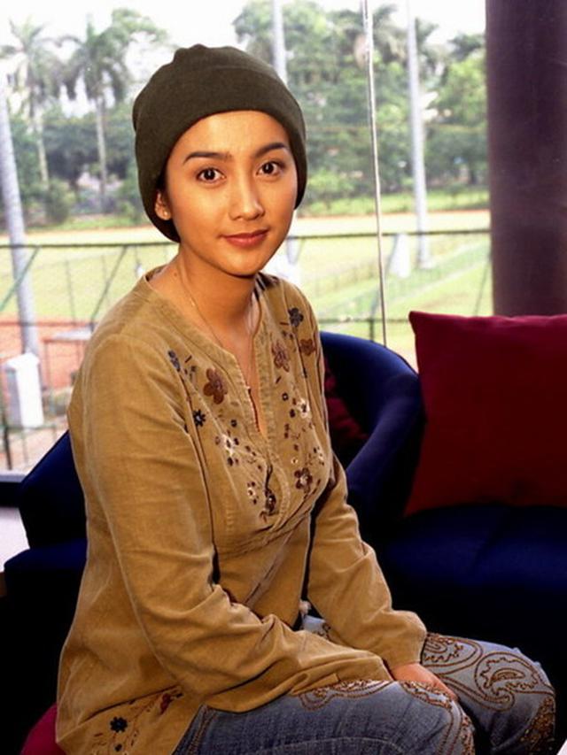 6 Potret Transformasi Desy Ratnasari, dari Gadis Sampul hingga Politisi ...