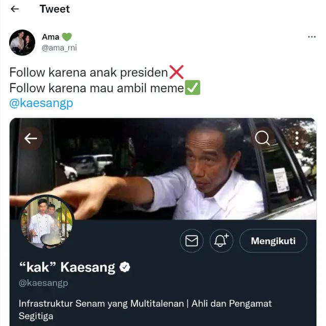 6 Alasan Netizen Follow Twitter Kaesang Pangarep Ini Bikin Tepuk Jidat - Hot Liputan6.com