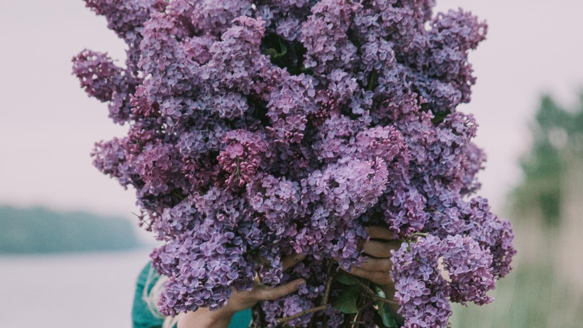 Mengungkap Kepribadian Perempuan Penyuka Bunga Lilac!