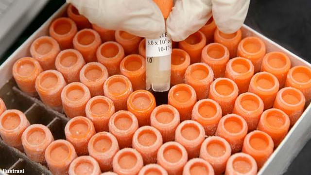 Simpan Ari-ari di Bank Saja Dibanding Dikubur Kendi - Health Liputan6.com