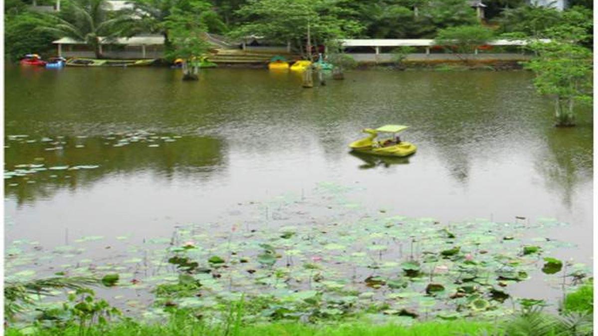 6 Fakta Menarik Kabupaten Asahan yang Punya Air Terjun Tertinggi di ...