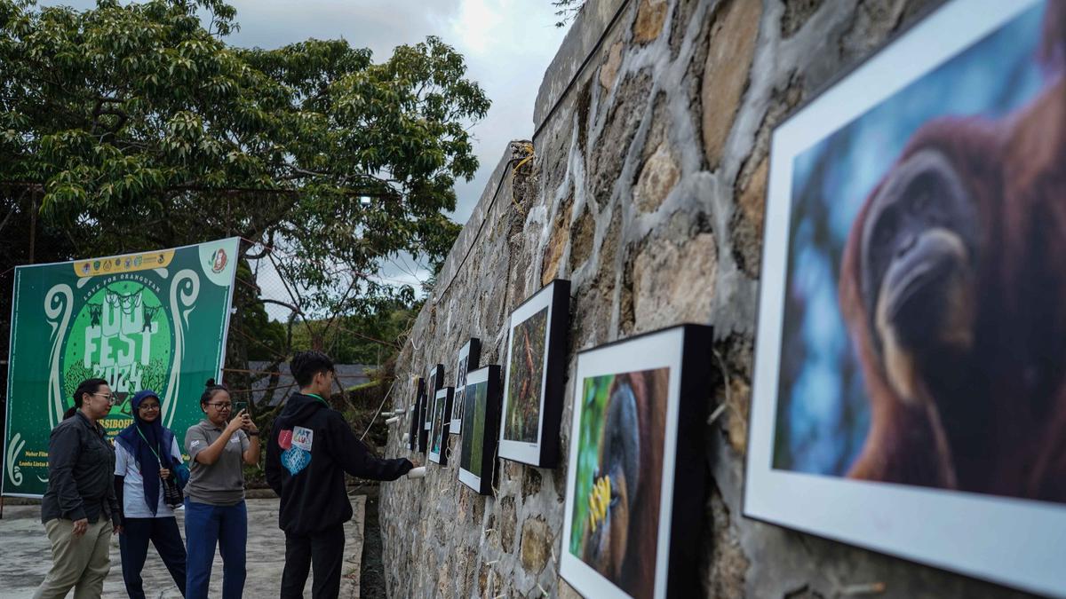 OU Fest 2024, Milenial dan Gen Z Didorong Jadi Garda Terdepan ...