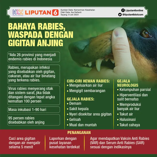 Kasus Meningkat, Penyakit Rabies Paling Mematikan - News Liputan6.com