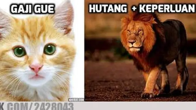 6 Meme Orang Habis Gajian, Uangnya Cepat Habis Ini Kocak - Hot Liputan6.com
