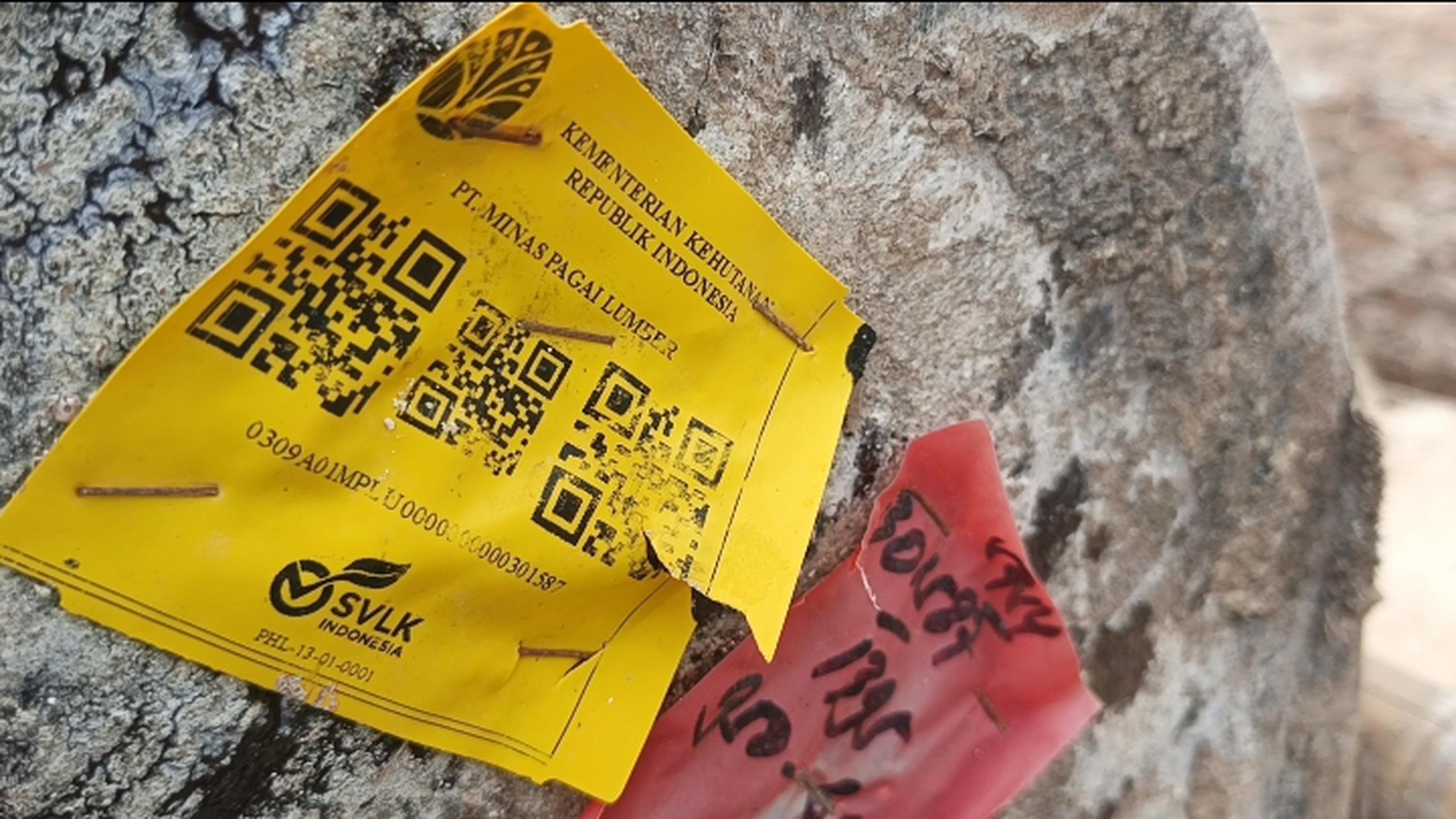 Terkuak, Kayu Gelondongan Penuhi Pantai Lampung Bertulis Kemenhut dan ...