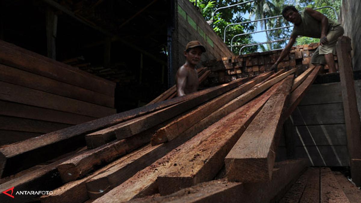 Ekspor Kayu RI Lebih Mulus Masuk ke Eropa Akhir September - Bisnis ...