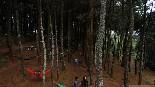 6 Fakta Menarik Gunung Burangrang, Sisa Hasil Letusan Gunung Sunda di ...