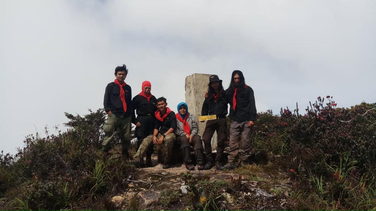 Cerita Perempuan 56 Tahun Taklukkan Puncak Gunung Leuser dan Loser