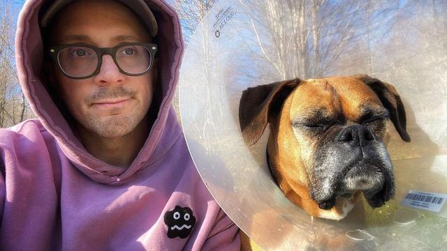 25 Tahun Berlalu, Ini 6 Potret Terbaru Steve Burns Pembawa Acara Blue’s ...