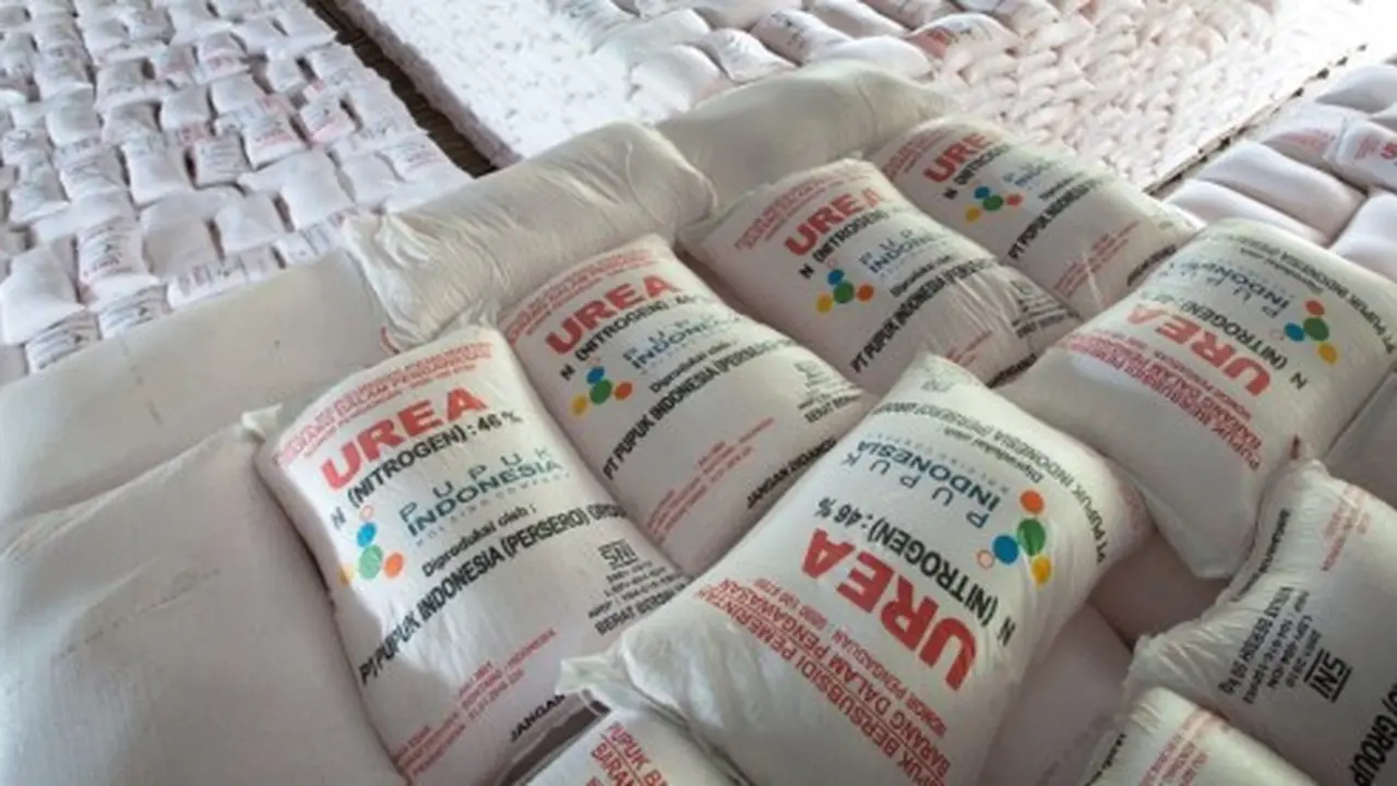 Pupuk Urea Indonesia Jadi Rebutan Sejumlah Negara, Berapa Produksinya?