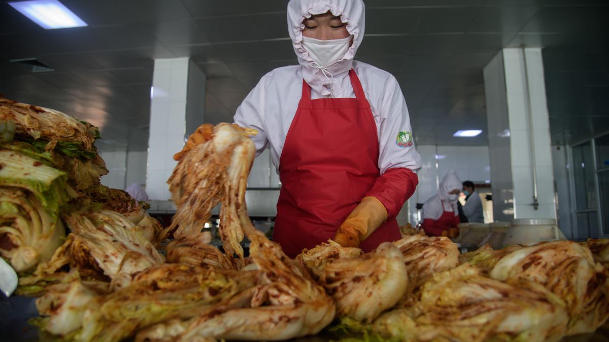 6 Manfaat Konsumsi Makanan Fermentasi seperti Tempe dan Kimchi - Health ...