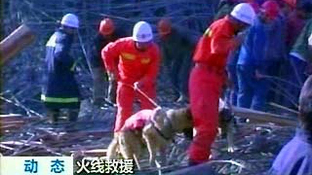 Rangka Jembatan Runtuh, Tujuh Orang Tewas - Global Liputan6.com