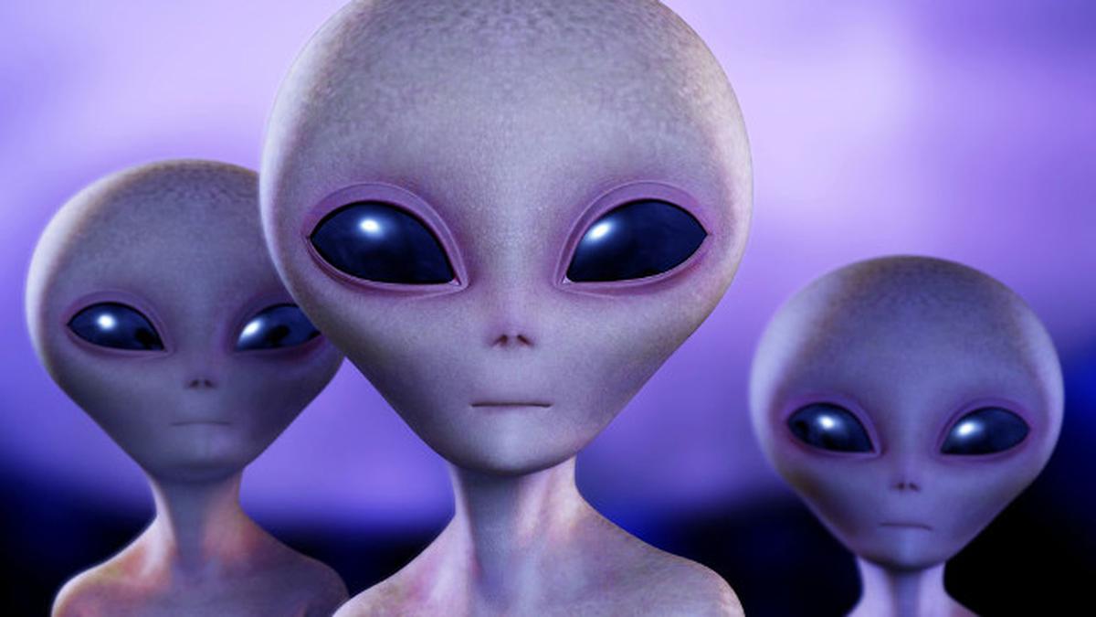 Misteri Bangkai Makhluk Merah Muda Berlendir, Alien? - Global Liputan6.com
