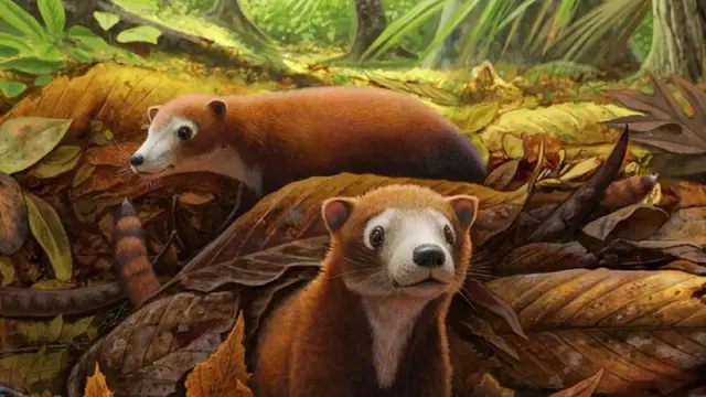 Hewan Mungil Ini Disebut Nenek Moyang Sapi, Babi, dan Rusa - Global ...