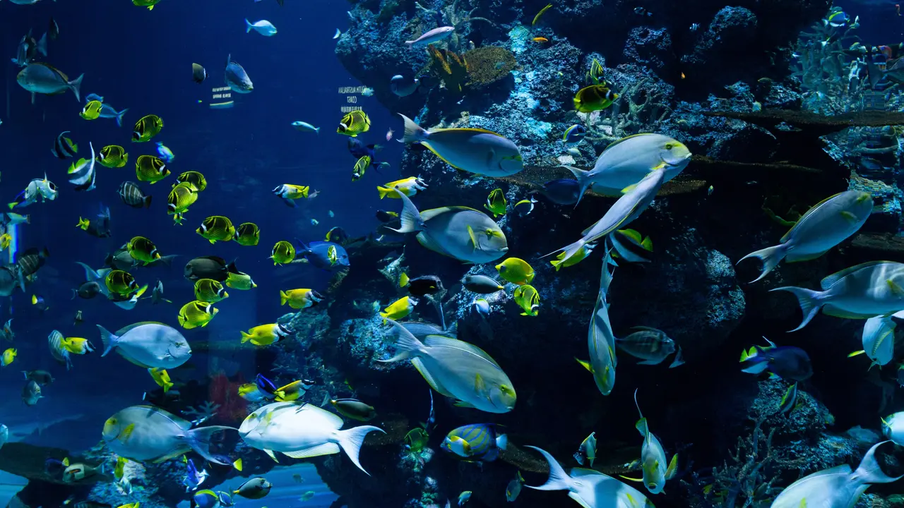 Mengenal Macam-Macam Ekosistem dan Contohnya, dari Alami hingga Buatan ...