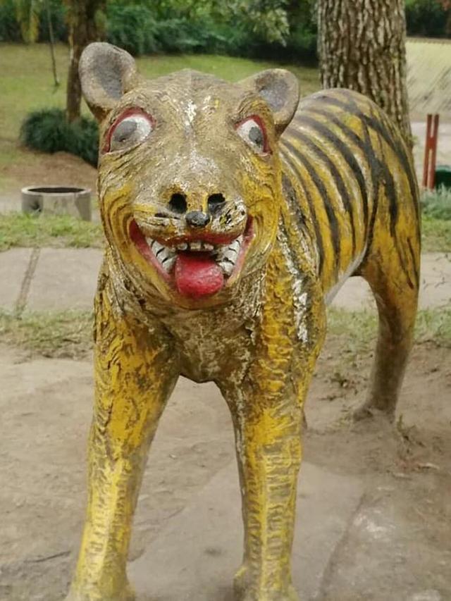 10 Macan Lucu dengan Bentuk Kocak, Unik Menghibur Hati - Hot Liputan6.com