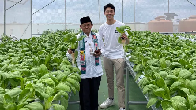 Penyanyi Han Chandra Kembangkan Kebun Kohan, Fokus ke Kesehatan Tanah ...