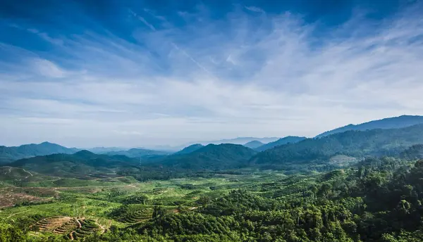 6 Fakta Menarik Padangsidimpuan, Kota Salak yang Bukan Penghasil Salak - Lifestyle Liputan6.com