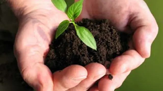 7 Benda yang Tak Lulus Sensor di Bandara - Citizen6 Liputan6.com