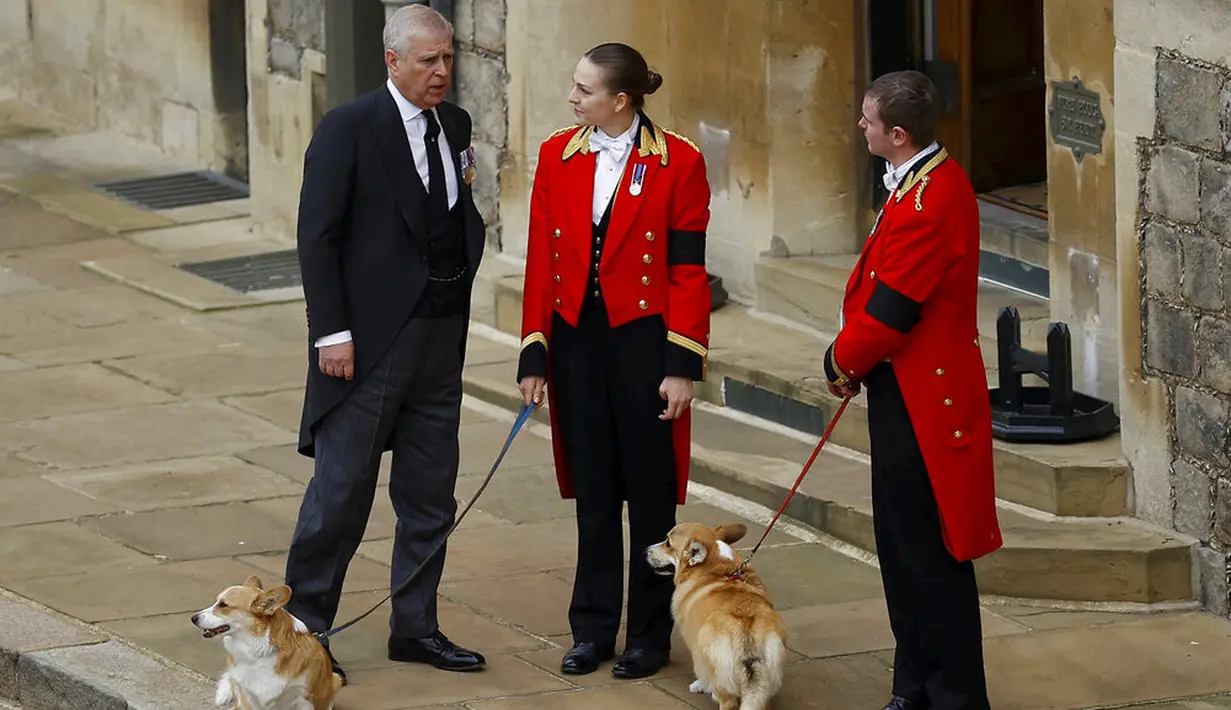 Momen Anjing Corgi Kesayangan Ratu Elizabeth II Ikut Menanti Kedatangan ...