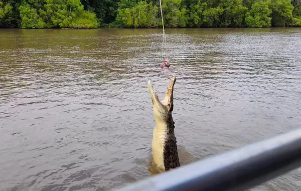Memahami Arti Peka dan Manfaatnya dalam Kehidupan Sehari-hari - Feeds ...
