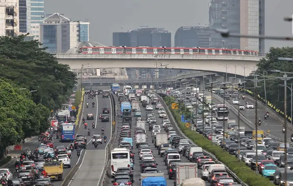 Apa Itu Hibernasi: Fenomena Tidur Panjang pada Hewan - Feeds Liputan6.com