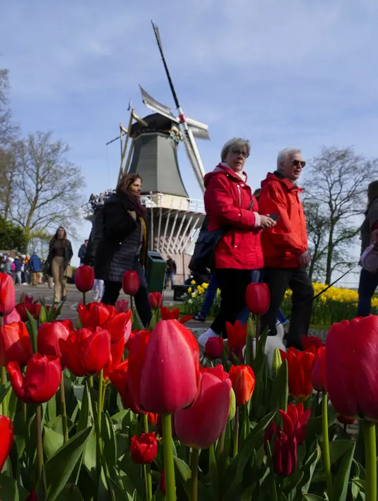FOTO: Melihat Keindahan Aneka Bunga di Taman Keukenhof Belanda - Foto ...