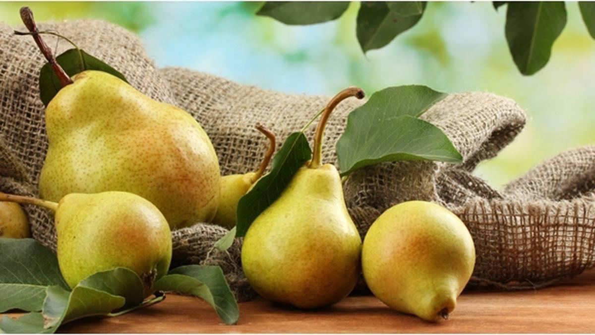 Alasan Tepat Mengapa Kamu Harus Makan Buah Pir