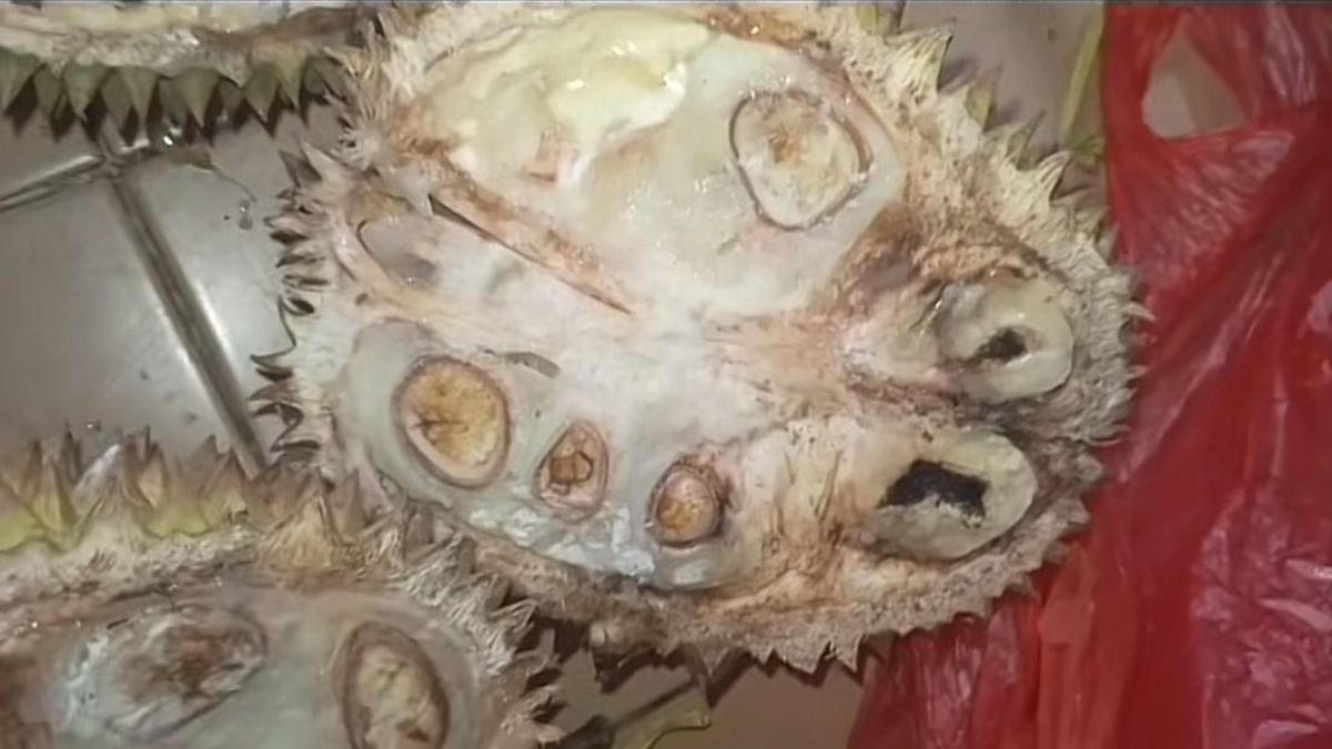 Viral Warga Kapok Tertipu Durian Tewel di Pasar Cheng Hoo Pasuruan - Lifestyle Liputan6.com