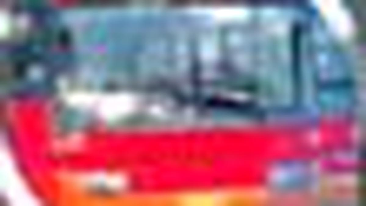 Pengemudi Bus Steady Safe Mogok - News Liputan6.com