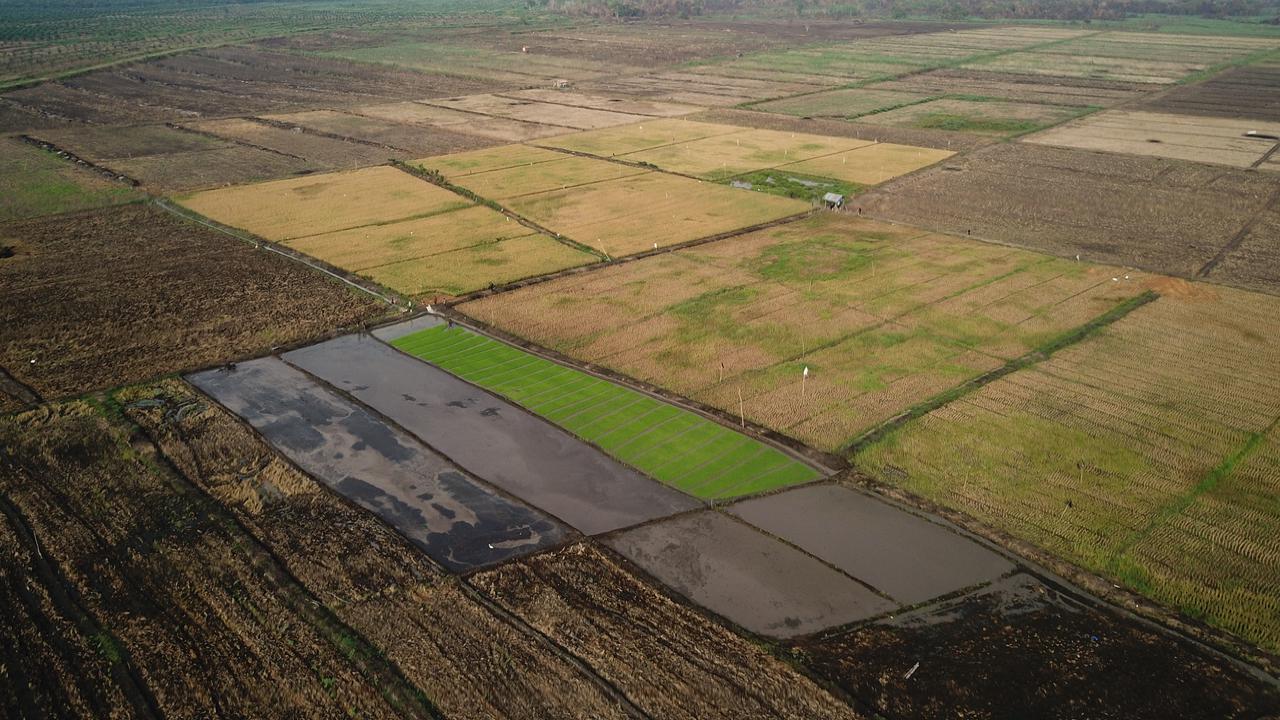 Kementan Optimalisasi Lahan Rawa Guna Jadikan Indonesia Lumbung Pangan ...