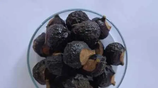 Manfaat Buah Lerak Apa Saja? Ilmuwan Ungkap Potensi 10 Ini - Hot ...