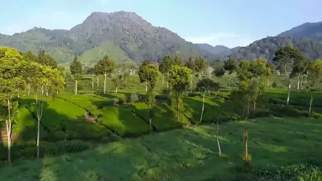 6 Fakta Menarik Gunung Batu Ciwidey di Perbatasan Bandung dan Cianjur ...